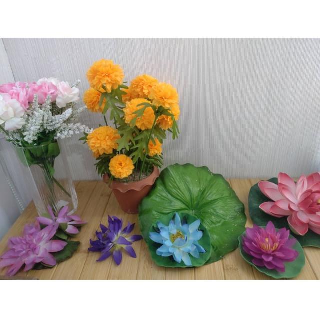 フォトギャラリー ｜横浜市中区 SIRISALA シリサラ タイ古式マッサージの紹介｜横浜リラクnavi